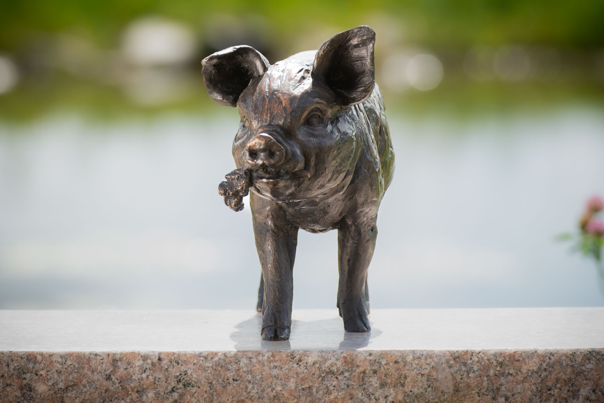 Bronze Life-sized Standing Piglet Sculpture | Bronze Piglet Statue