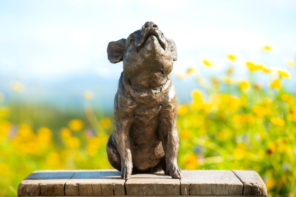 Bronze Life-sized Sitting Piglet Sculpture | Bronze Piglet Statue