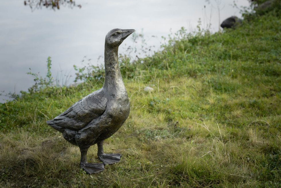 Bronze Life-sized Goose Looking Up Sculpture | Bronze Goose Statue