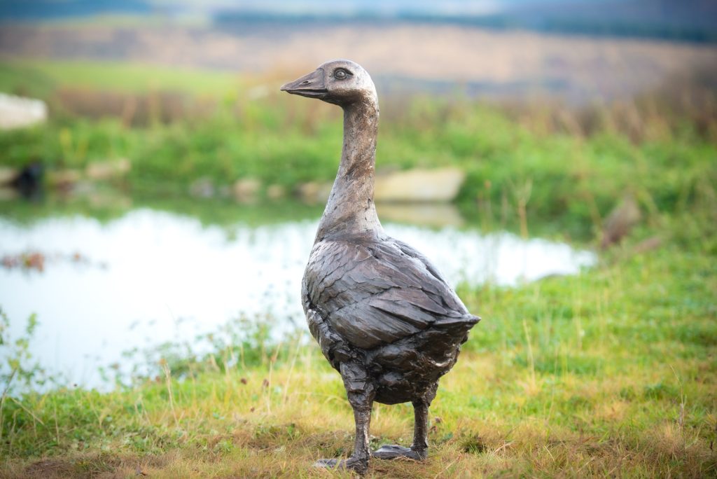 Bronze Life-sized Goose Looking Sideways Sculpture | Bronze Goose Statue