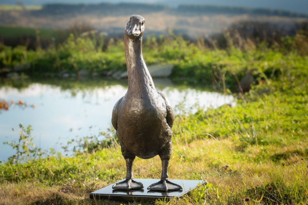Bronze Life-sized Goose Tipping Head Sculpture | Bronze Goose Statue