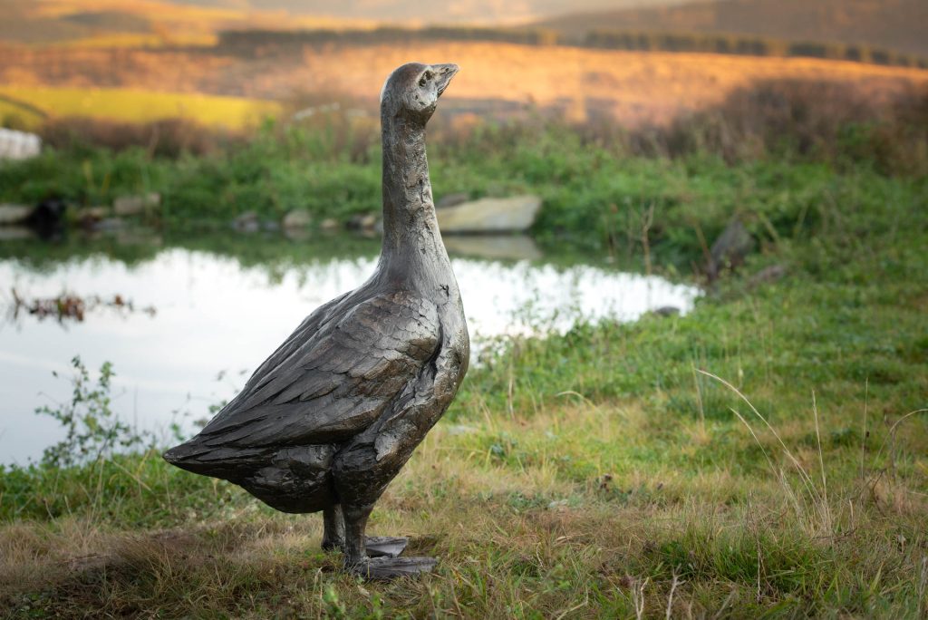 Bronze Life-sized Goose Looking Up Sculpture | Bronze Goose Statue