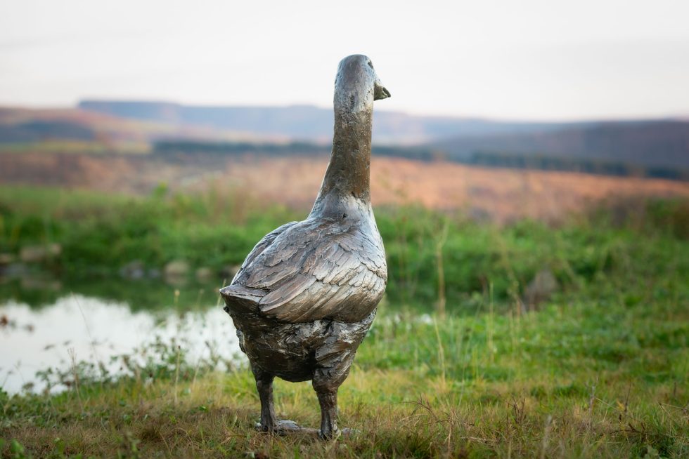 Bronze Life-sized Goose Tipping Head Sculpture | Bronze Goose Statue
