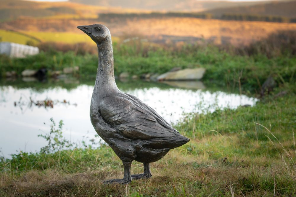 Bronze Life-sized Goose Looking Up Sculpture | Bronze Goose Statue