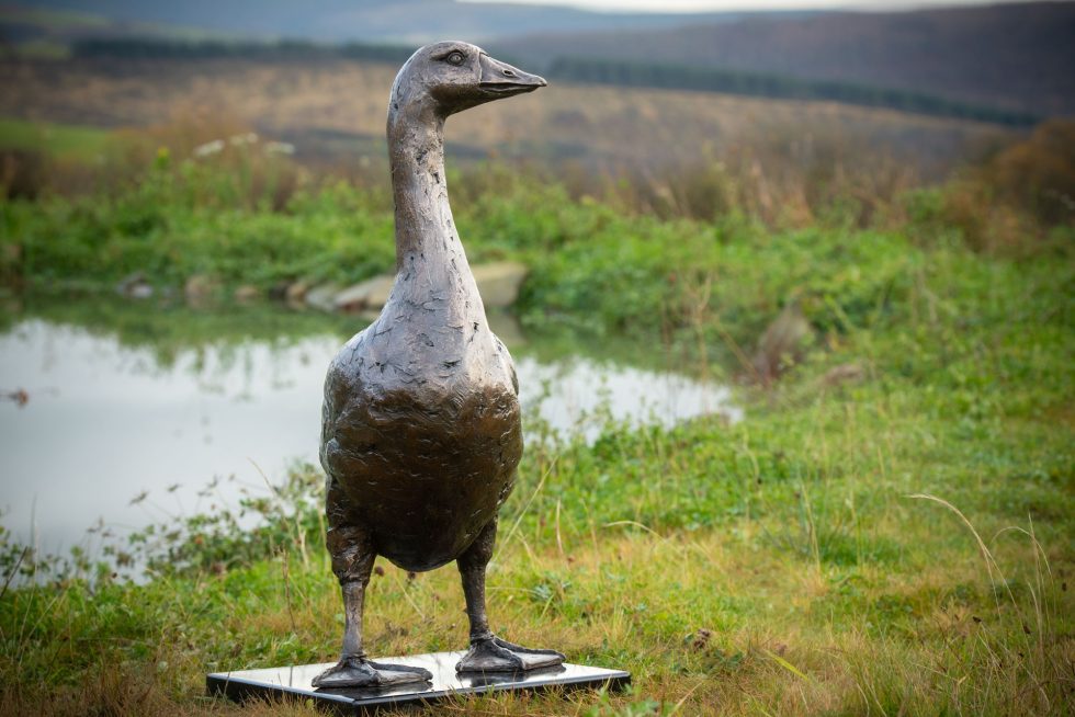 Bronze Life-sized Goose Looking Sideways Sculpture | Bronze Goose Statue