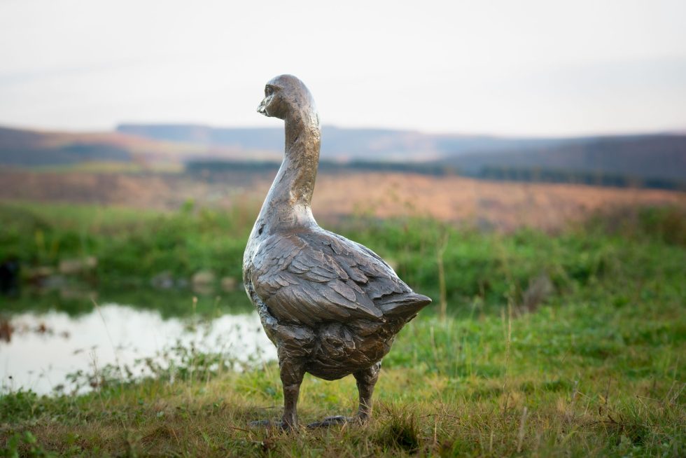 Bronze Life-sized Goose Tipping Head Sculpture | Bronze Goose Statue
