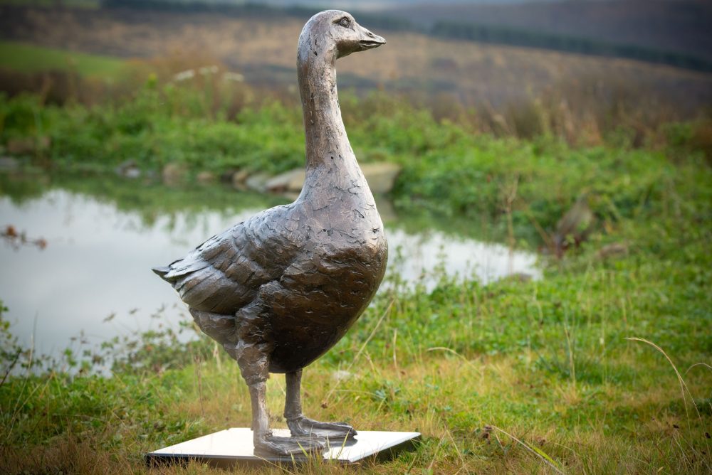 Bronze Life-sized Goose Looking Sideways Sculpture | Bronze Goose Statue