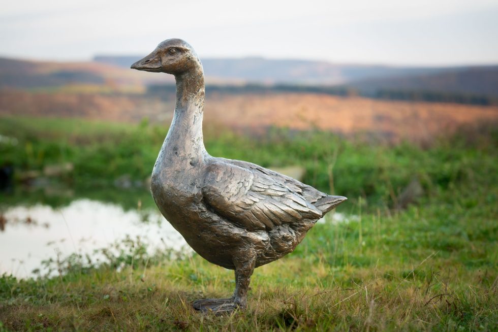 Bronze Life-sized Goose Tipping Head Sculpture | Bronze Goose Statue