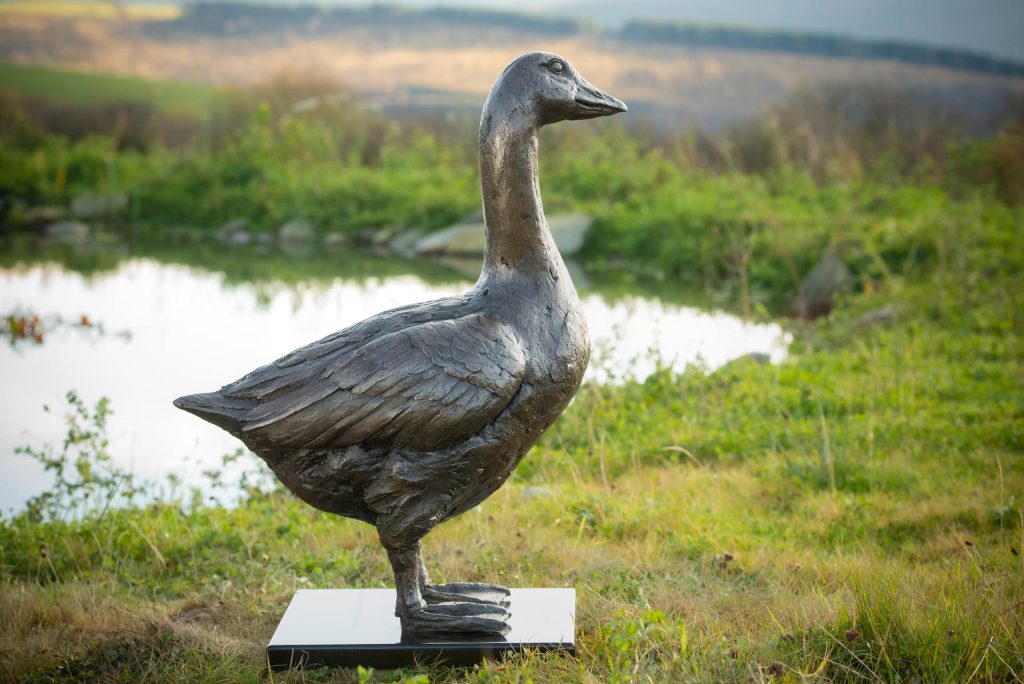 Bronze Life-sized Goose Tipping Head Sculpture | Bronze Goose Statue