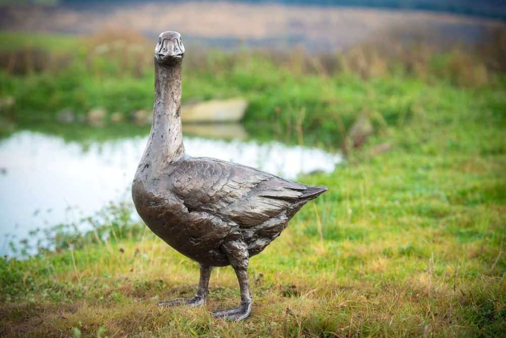 LIFE-SIZED GOOSE LOOKING SIDEWAYS SCULPTURE | Tanya Russell